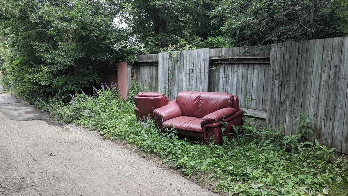 Illegal Dumping in Sydney: Know This Before It's Too Late